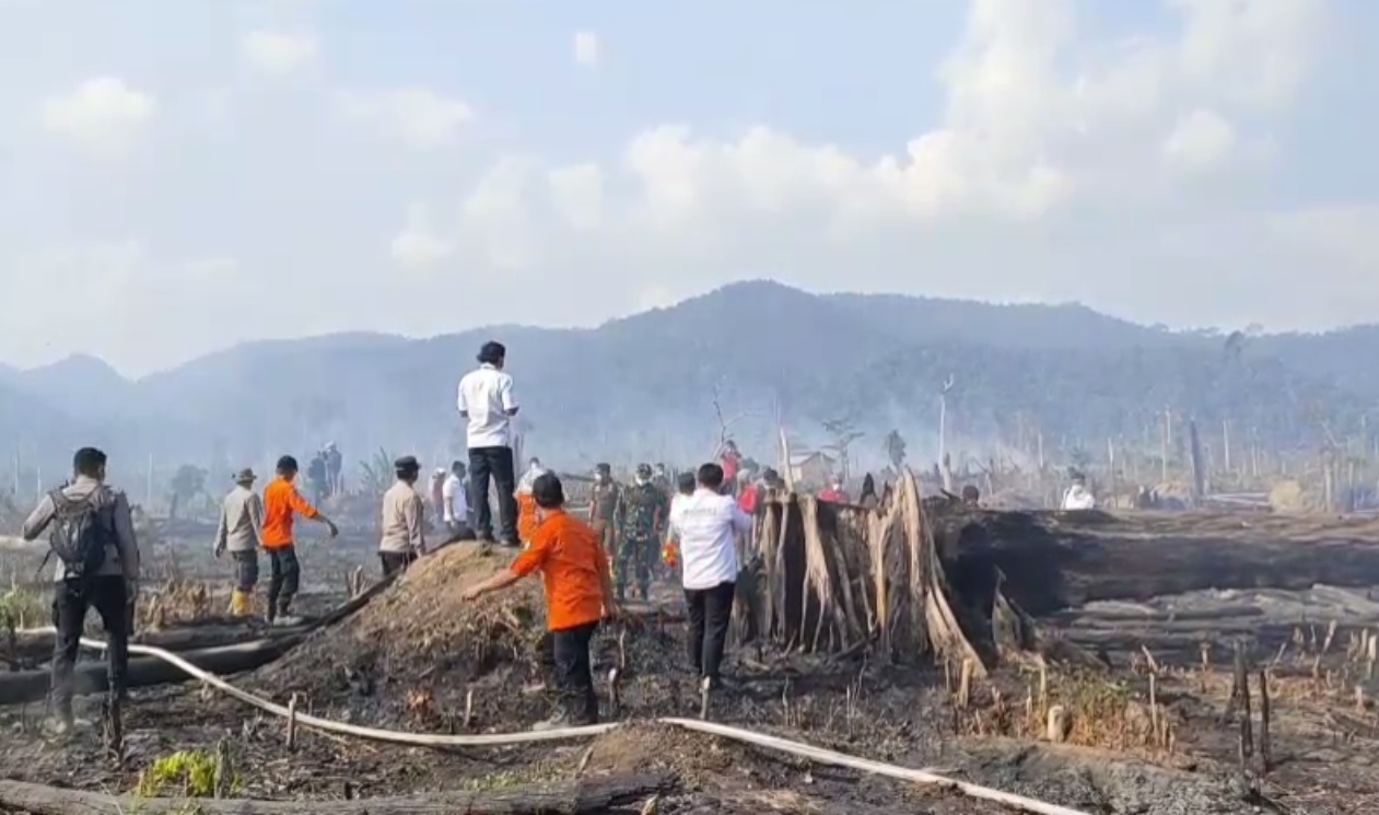 Kawasan Hutan Terbakar Meluas ke Taman Nasional Bukit Tigapuluh, Kerugian Sentuh Miliaran Rupiah ...