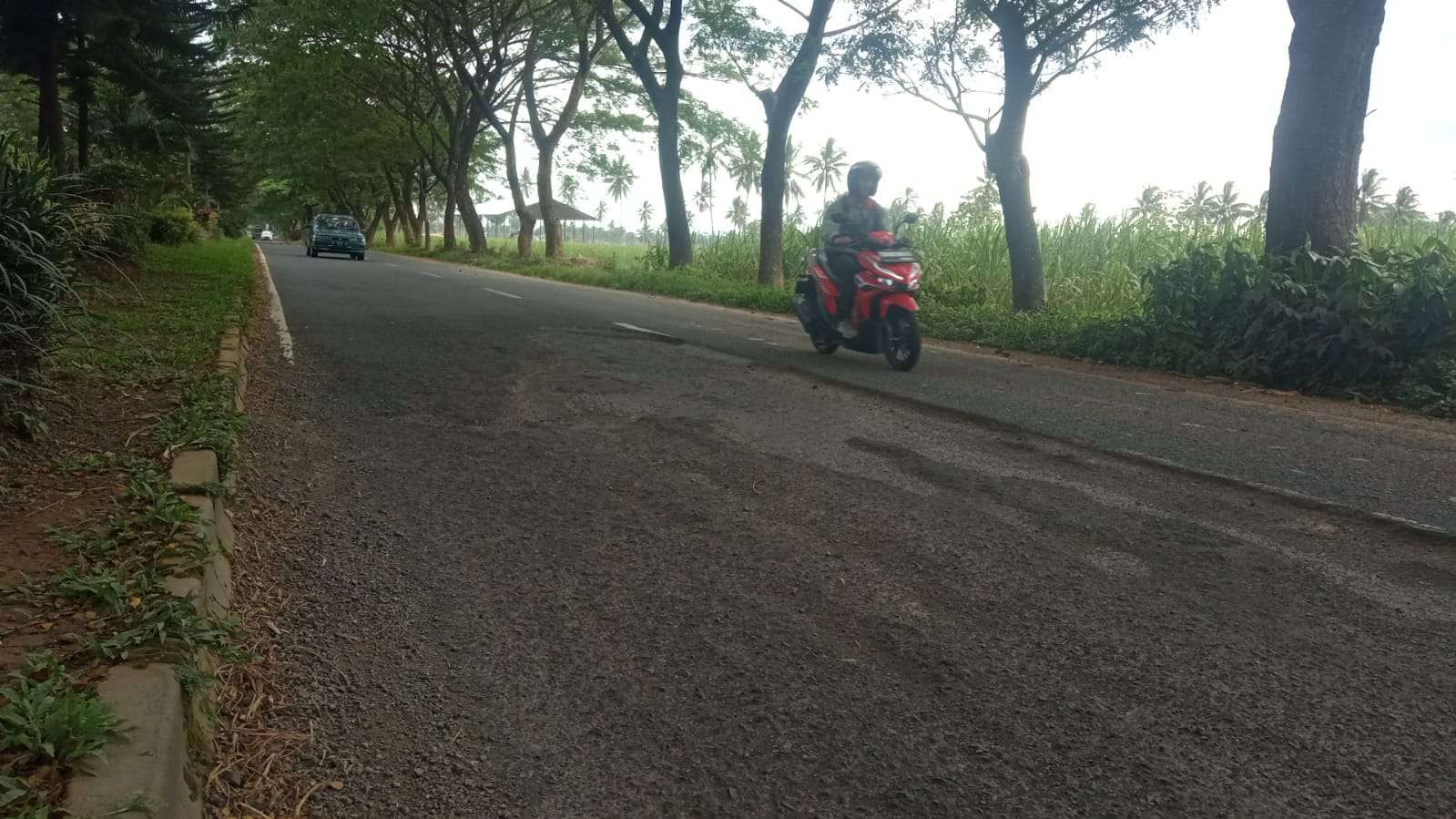 Pemkab Malang Alokasikan Rp 312 Miliar untuk Perbaikan Jalan Rusak di 2025 – PRUDENSI