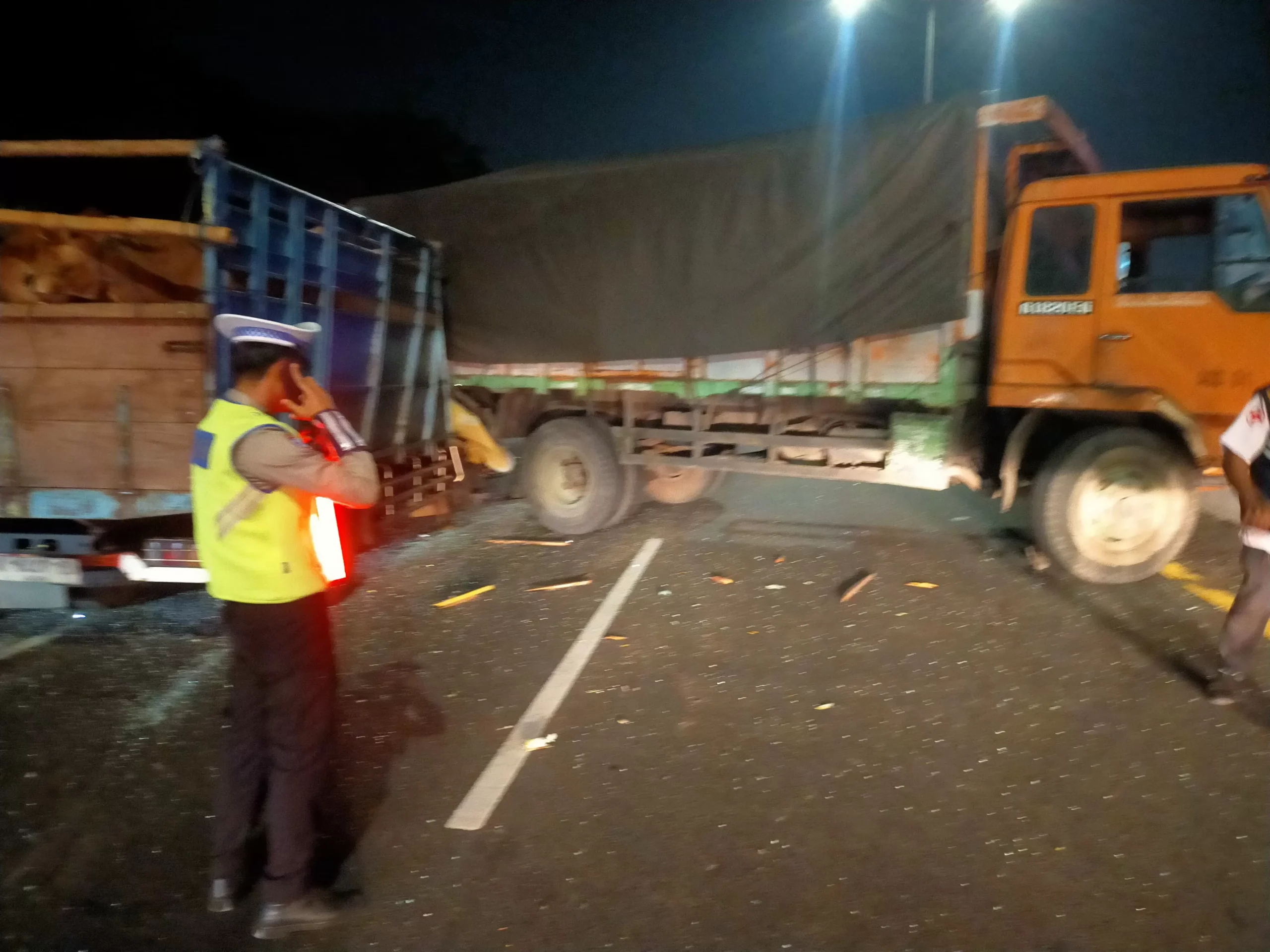 Kecelakaan Maut di Tol Sidoarjo, Truk Muat Sapi Tabrak Truk Fuso, Supir dan Satu Sapi Tewas ...