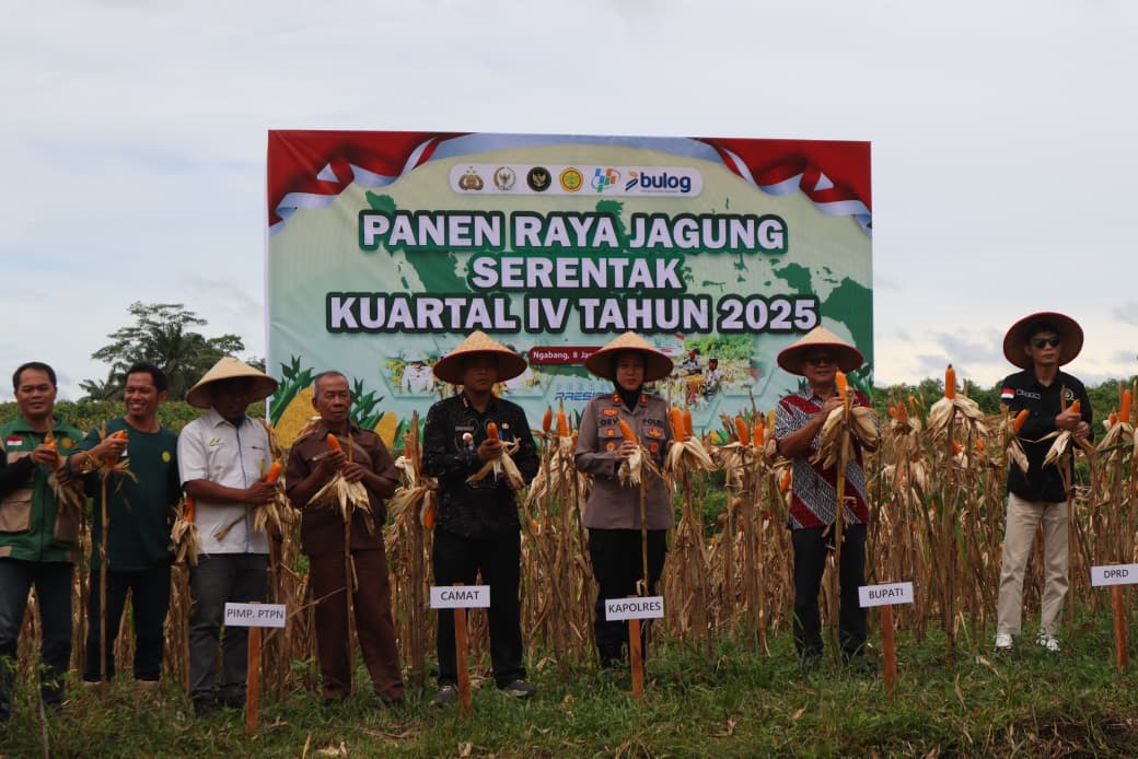 Dukung Program Nasional, Polres Landak Sukseskan Panen Raya Jagung ...